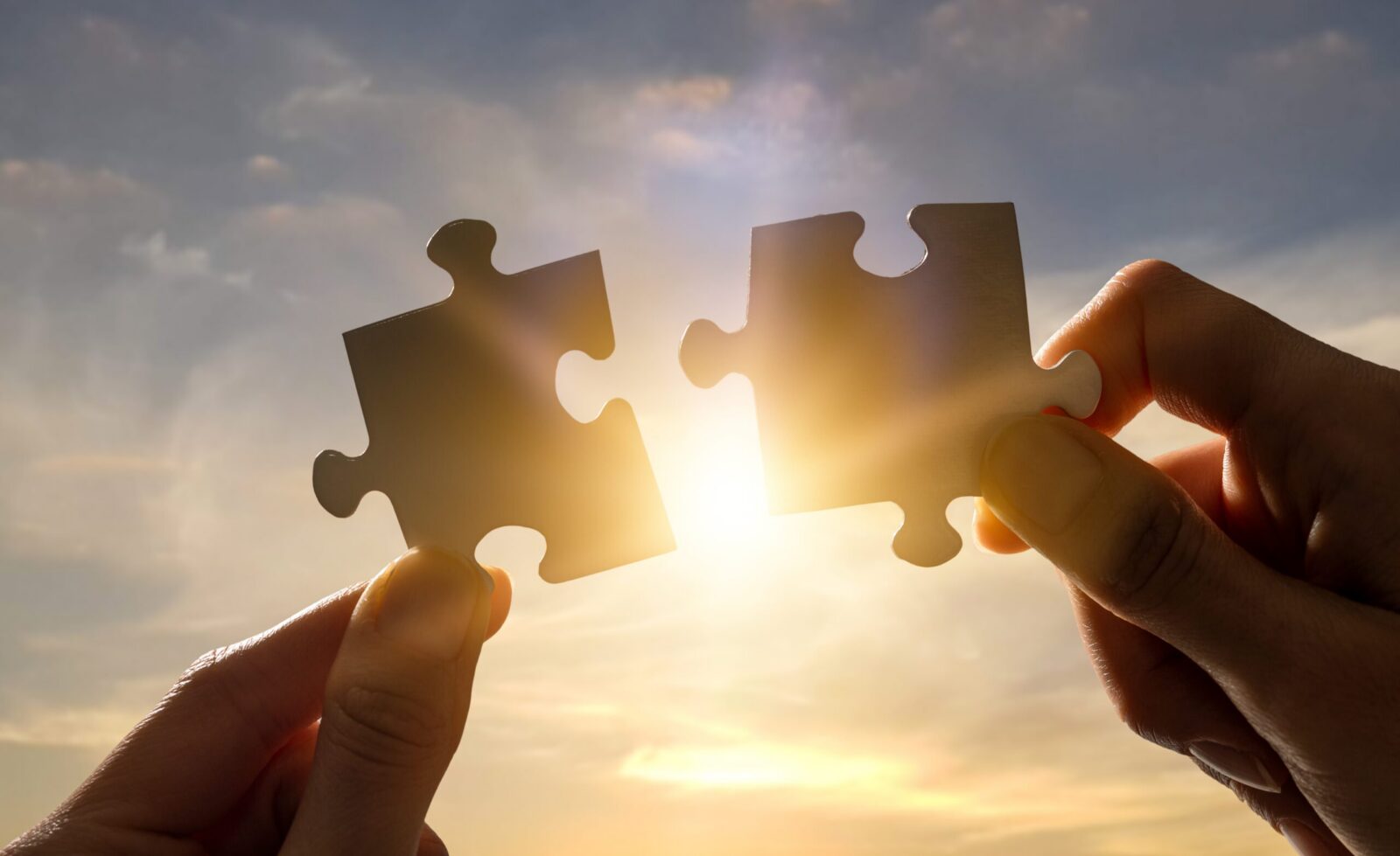 PIN FR synergy for epoxy - Pinfa